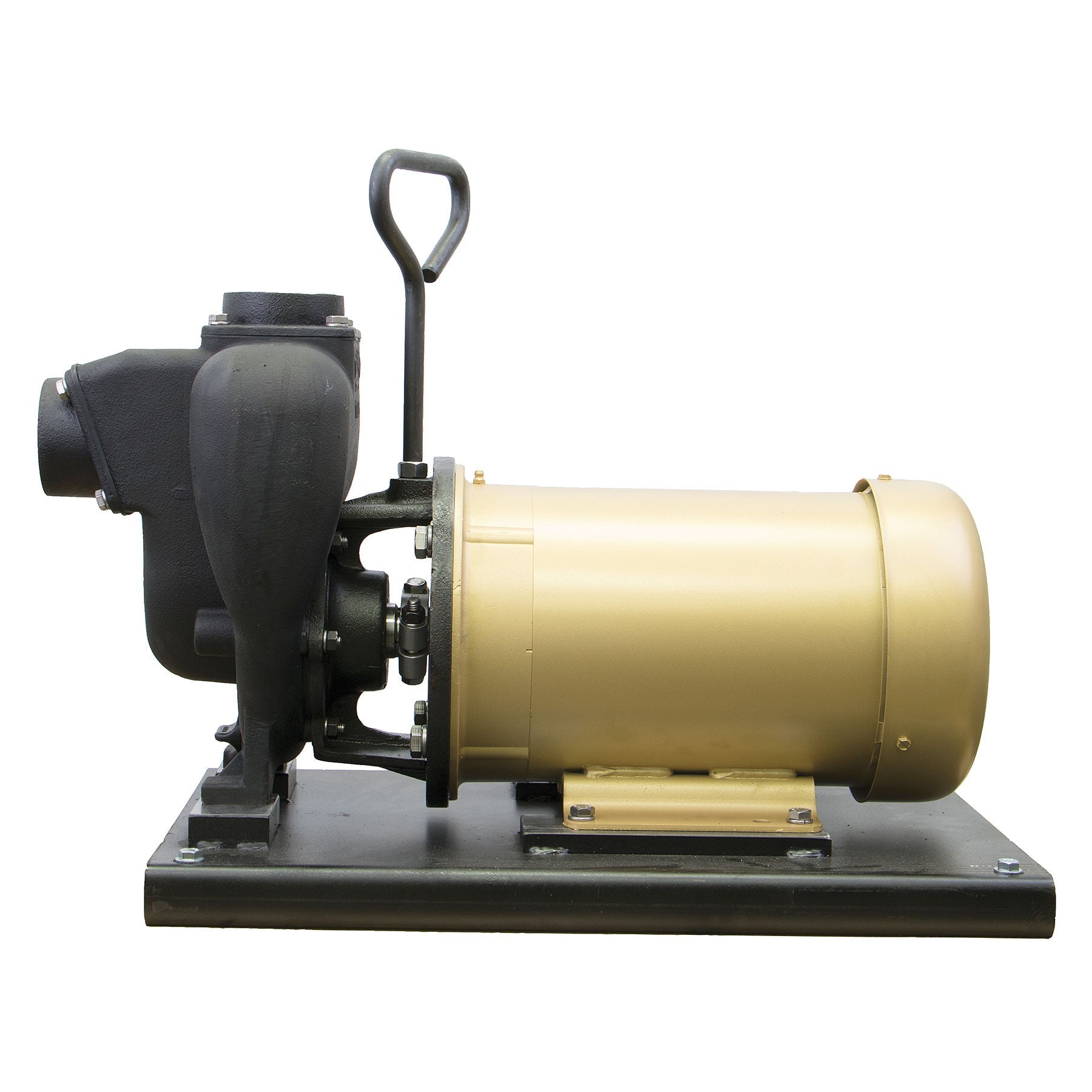 2 in. Cast Iron Pumps with Electrical Motors